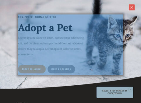 Demo for Intro Tour Tutorial Plugin | Demonstration for Intro Tour Tutorial Plugin