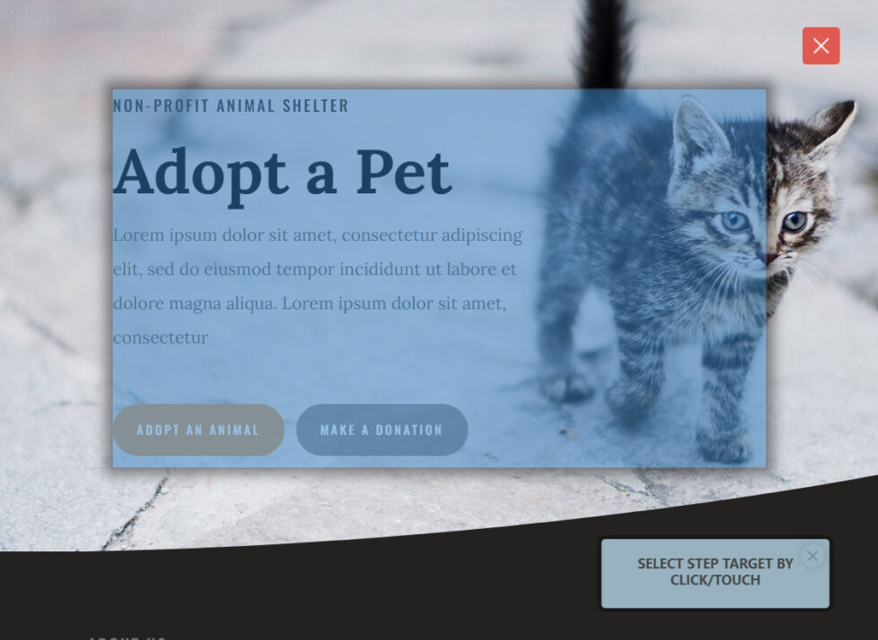 Demo for Intro Tour Tutorial Plugin | Demonstration for Intro Tour Tutorial Plugin